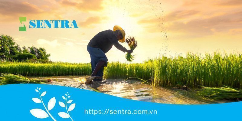 Công Ty Cổ Phần Việt Long Sài Gòn tuyển dụng