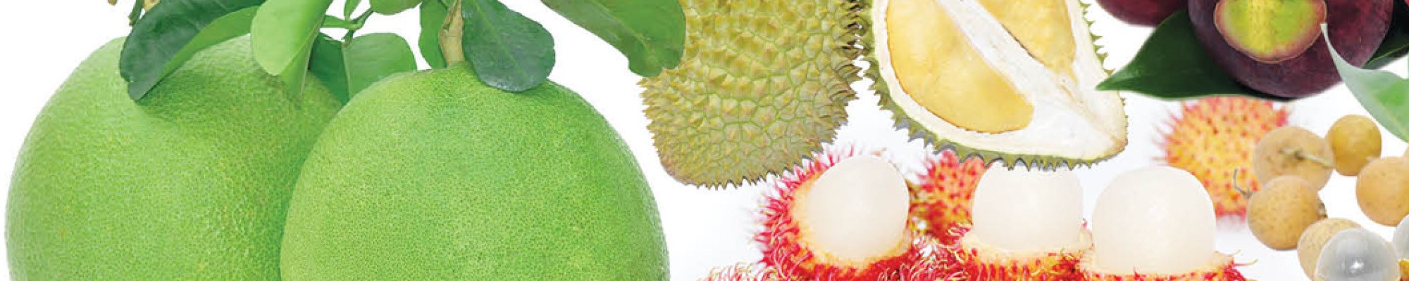 Công Ty TNHH Vinafruit Oishi (Công Ty TNHH Vinafruit Oishi) tuyển dụng ...
